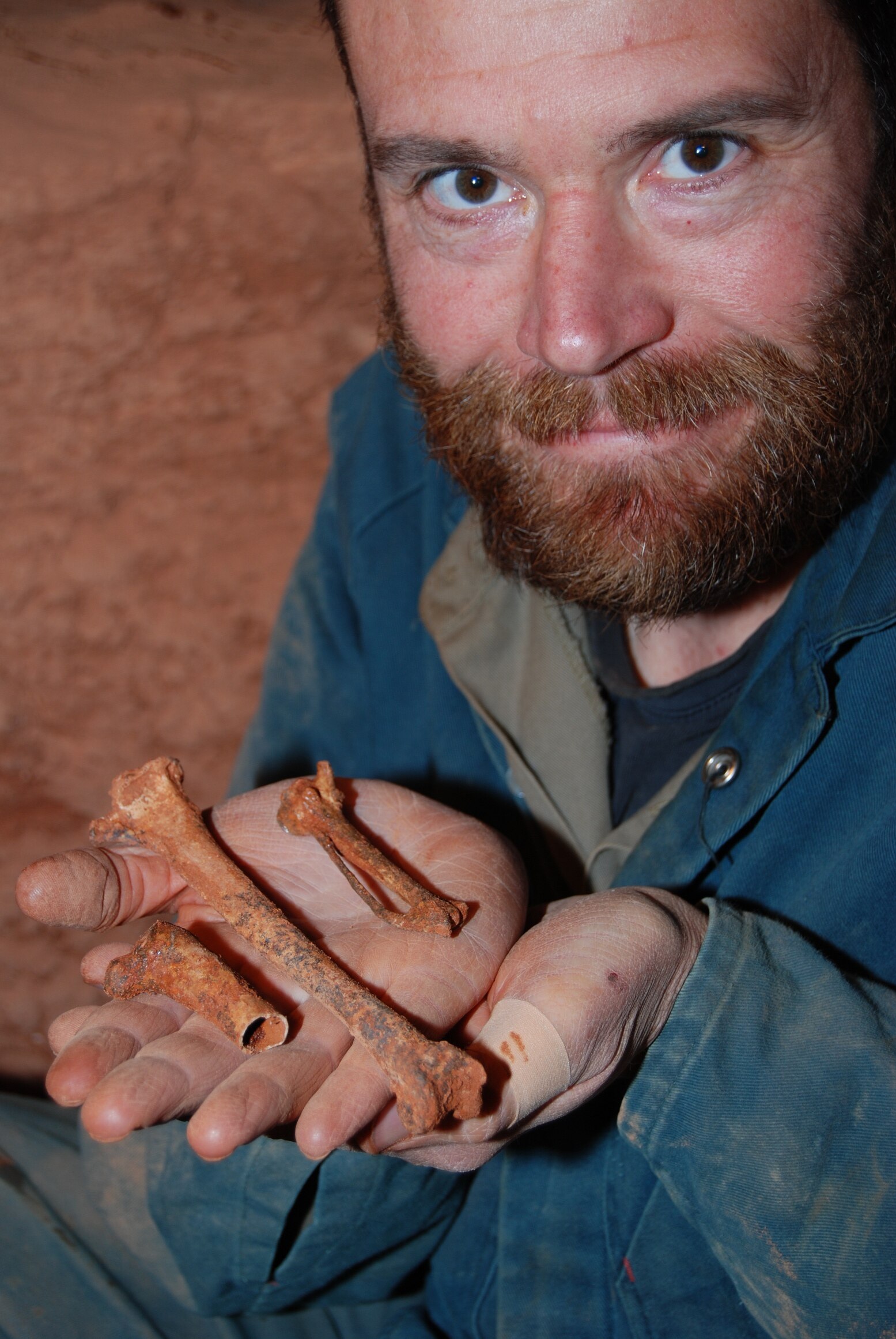 Bird bones could be one million years old - ABC News