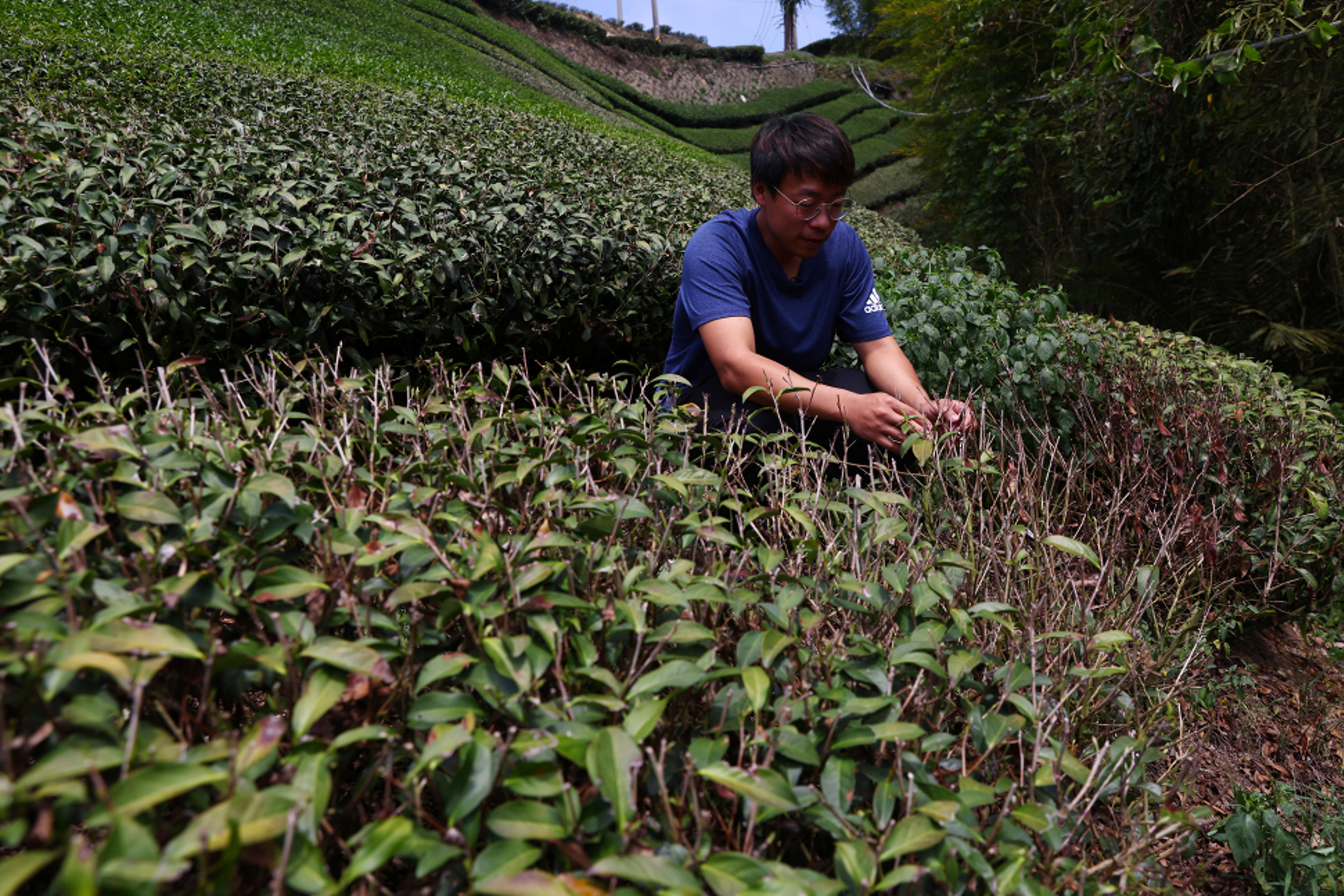 Massive drought followed by torrential rain tests the survival of ...
