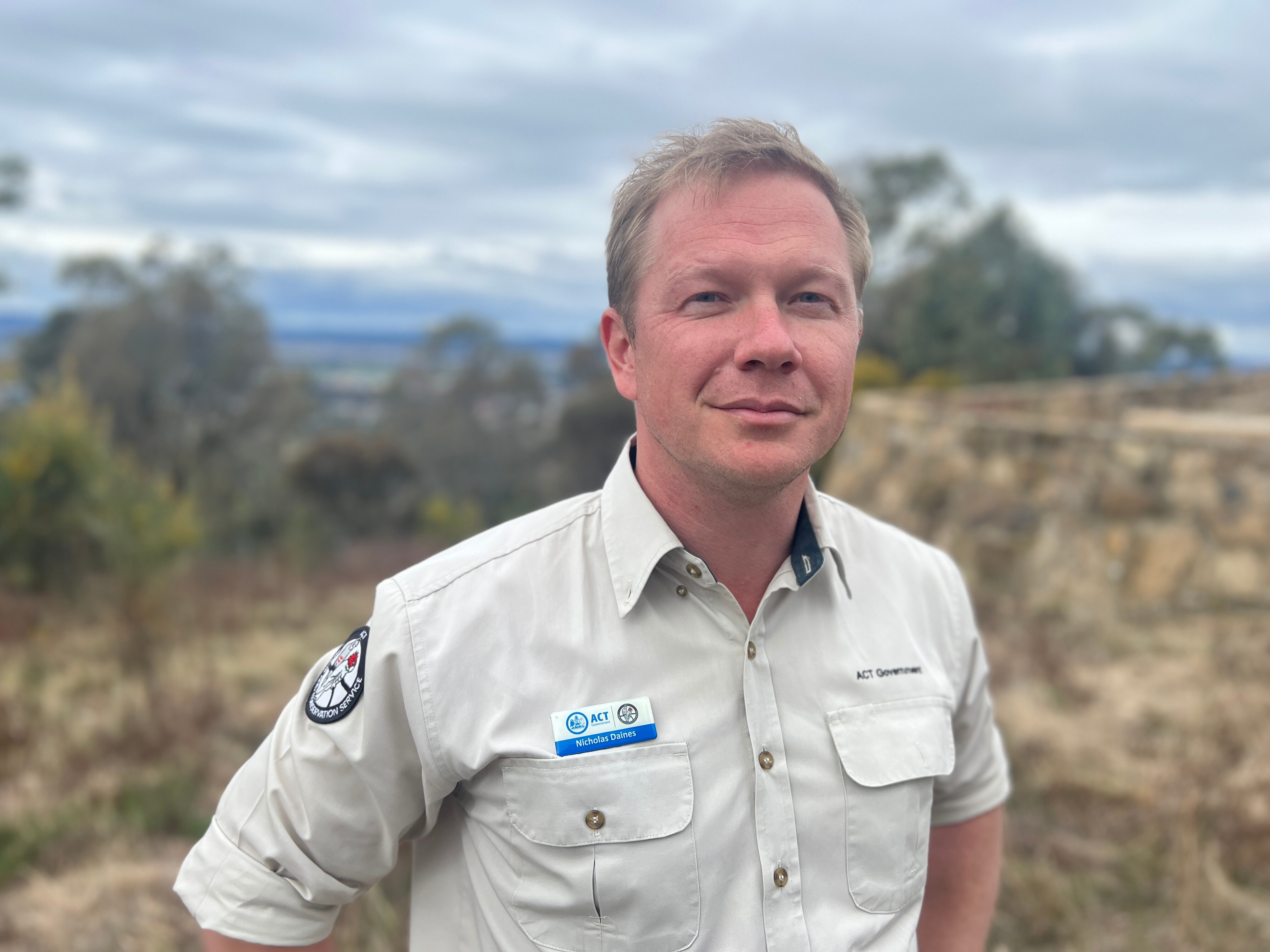 The dos and don'ts if you hit a kangaroo in the ACT - ABC News