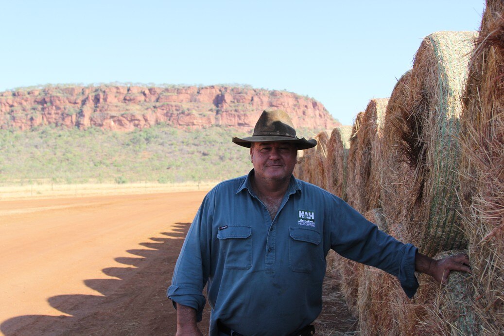 Is this the hay paddock with the best view in the Northern Territory ...