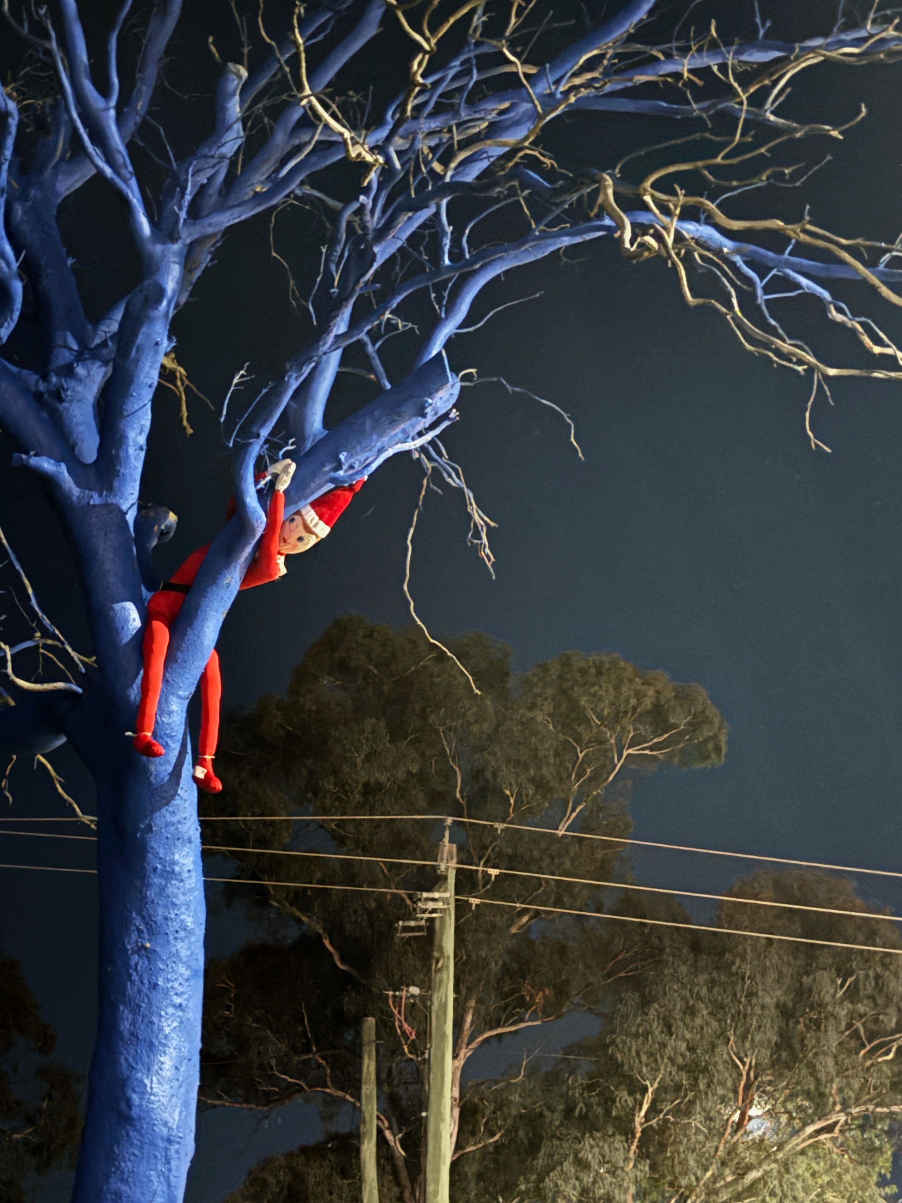 There's elf on a shelf, and then there's Canberra's elf in a tree - ABC ...