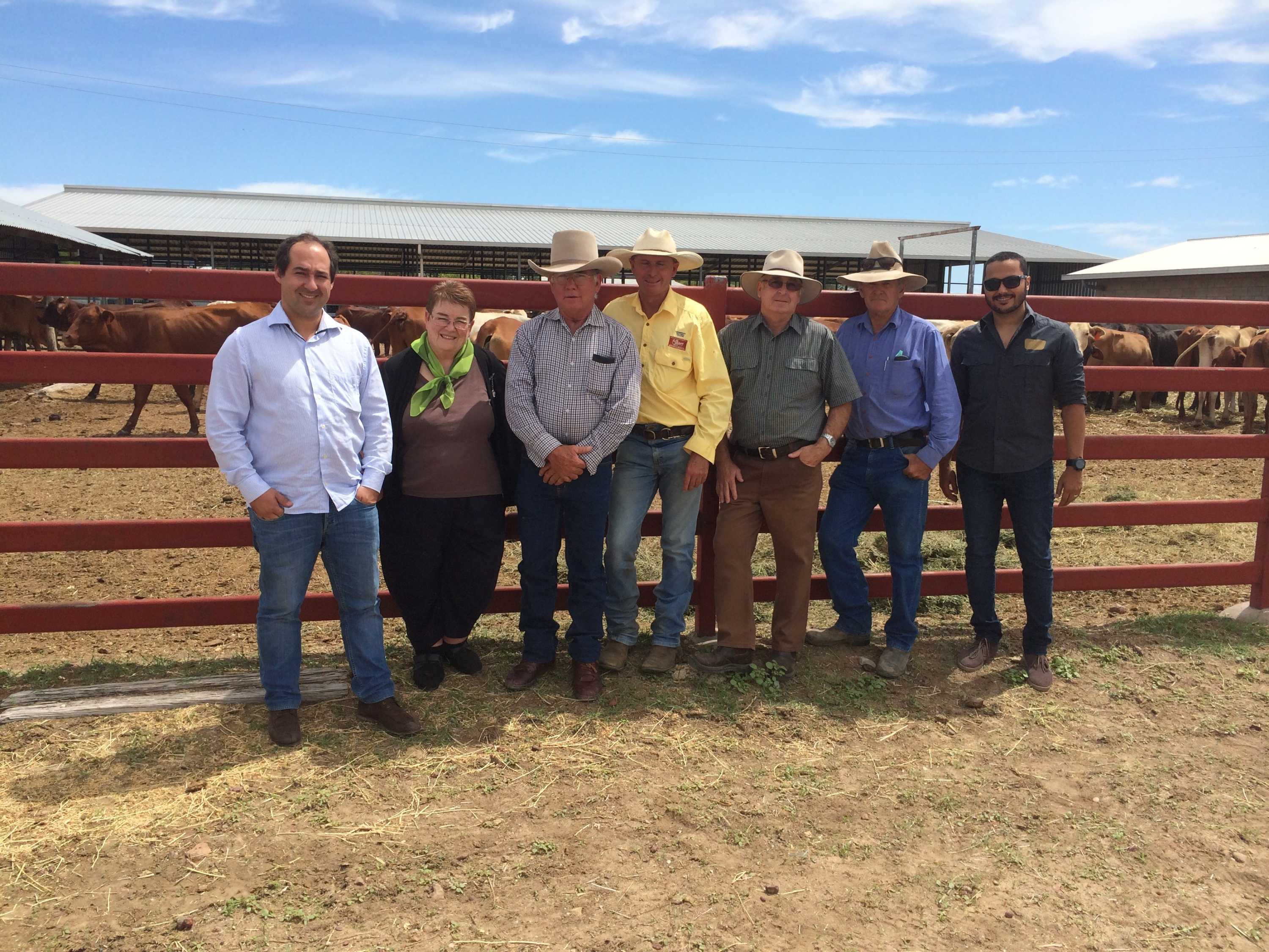 Live export ban prompts development of an international animal welfare ...