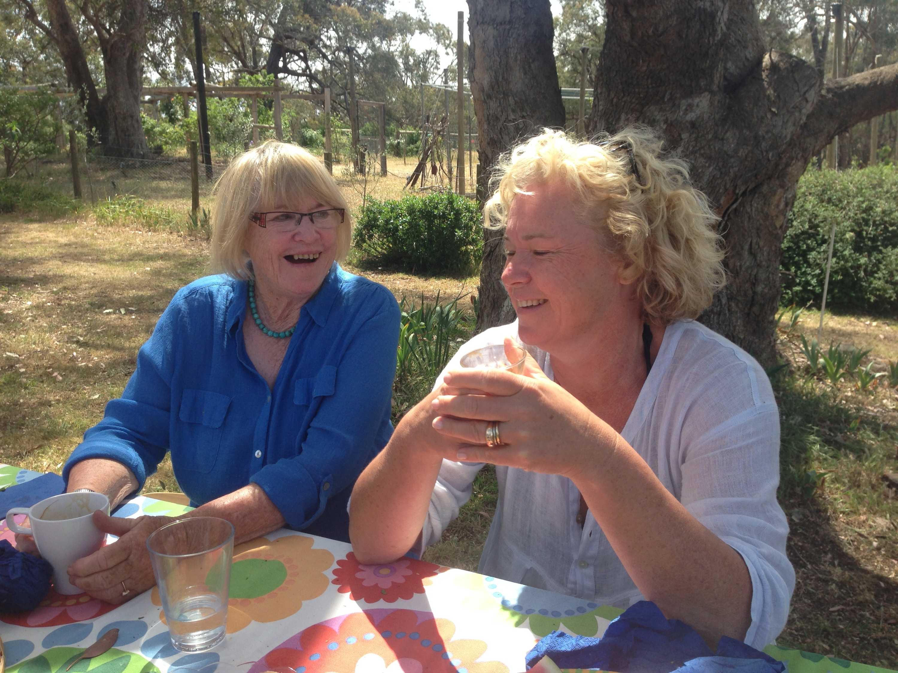 Heartlines: An adopted daughter's story of reconnecting with her birth ...