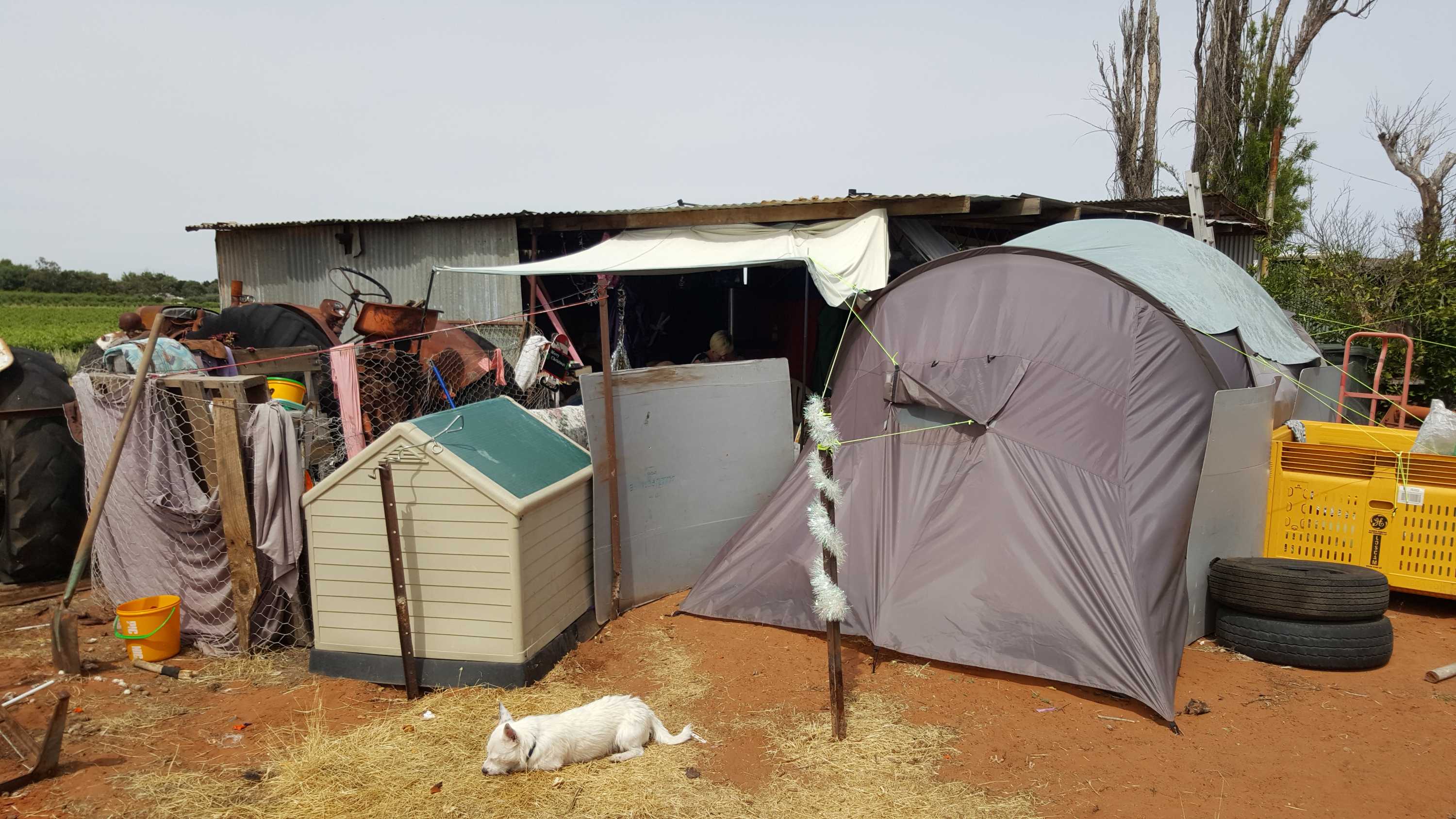 Homeless sleeping rough for months in South Australia's Riverland amid ...