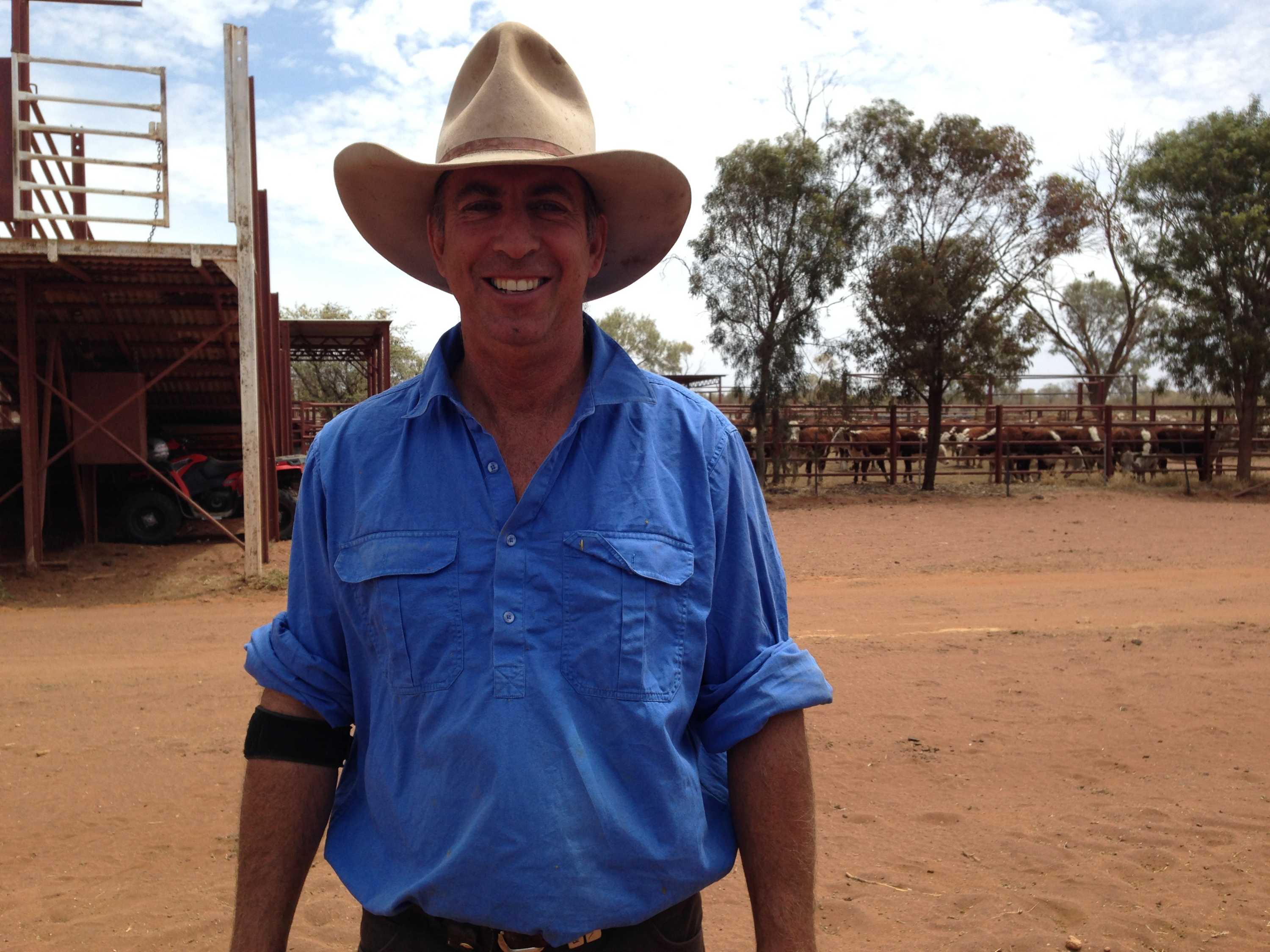Central Australian cattle station Mount Riddock makes most of strong ...