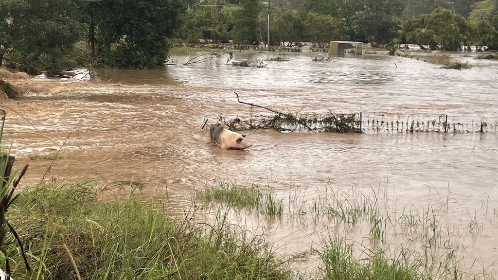 How compound disasters can affect your mental health,…