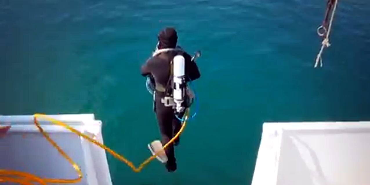 Pearl producer warned before diver's death - ABC News