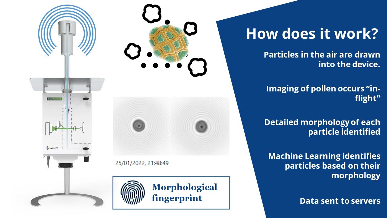 Perth real-time pollen monitoring yields significant results - ABC listen