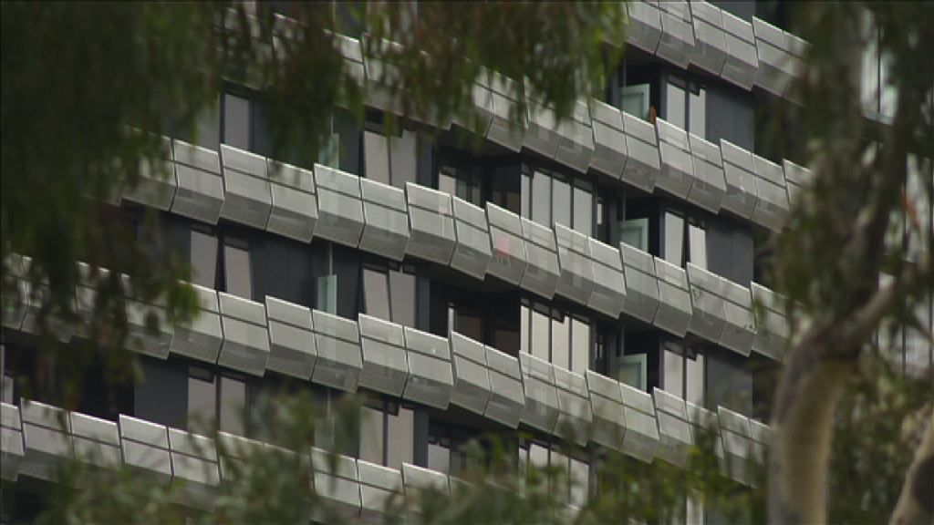 Tall Timber - ABC News