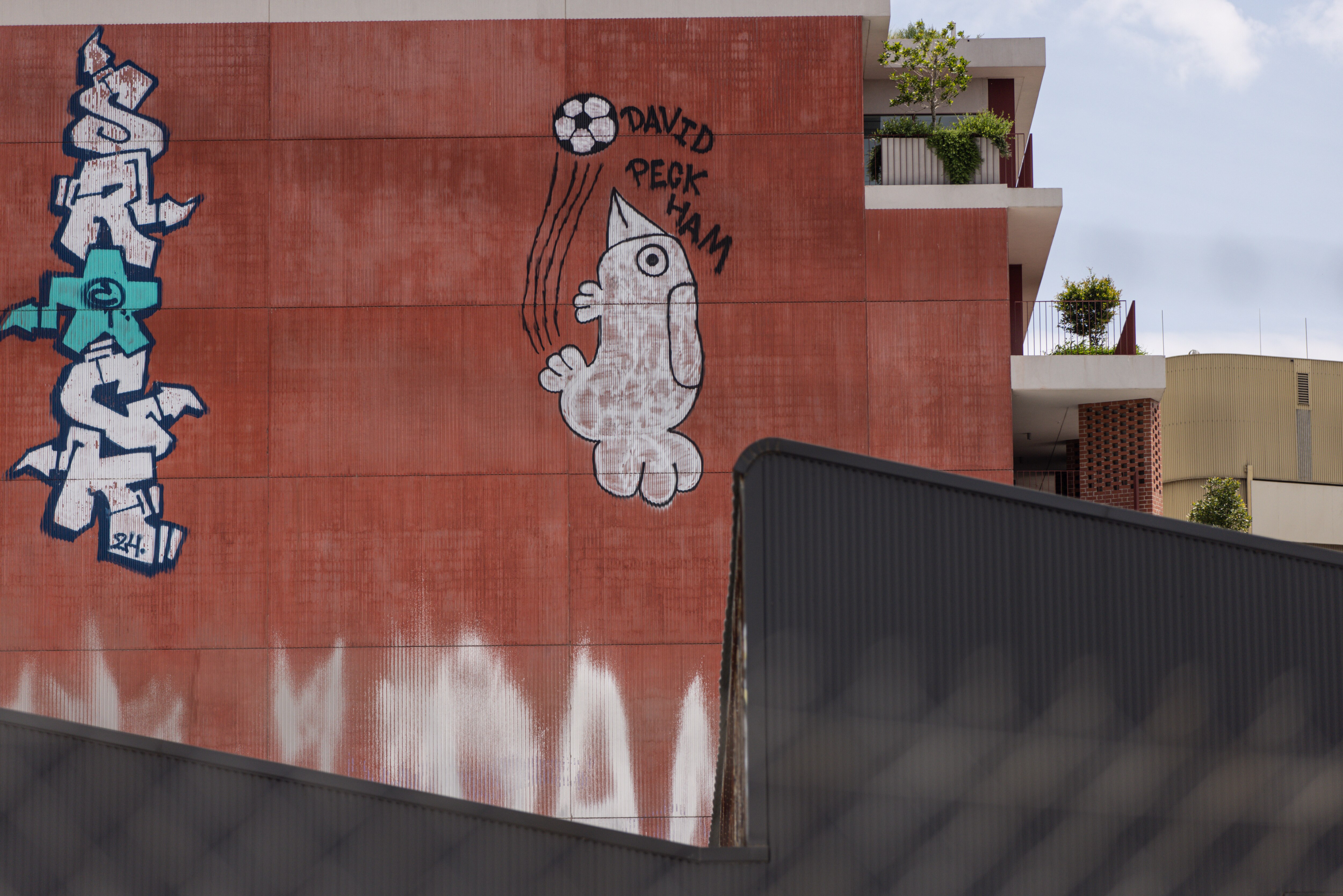 After soaring over Melbourne, has 'Pam the Bird' been grounded? - ABC News