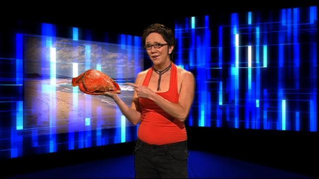Catalyst: How metamorphic rocks are formed - ABC Education
