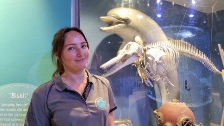Speared wobbegong shark latches onto fisher's arm in WA's South West ...