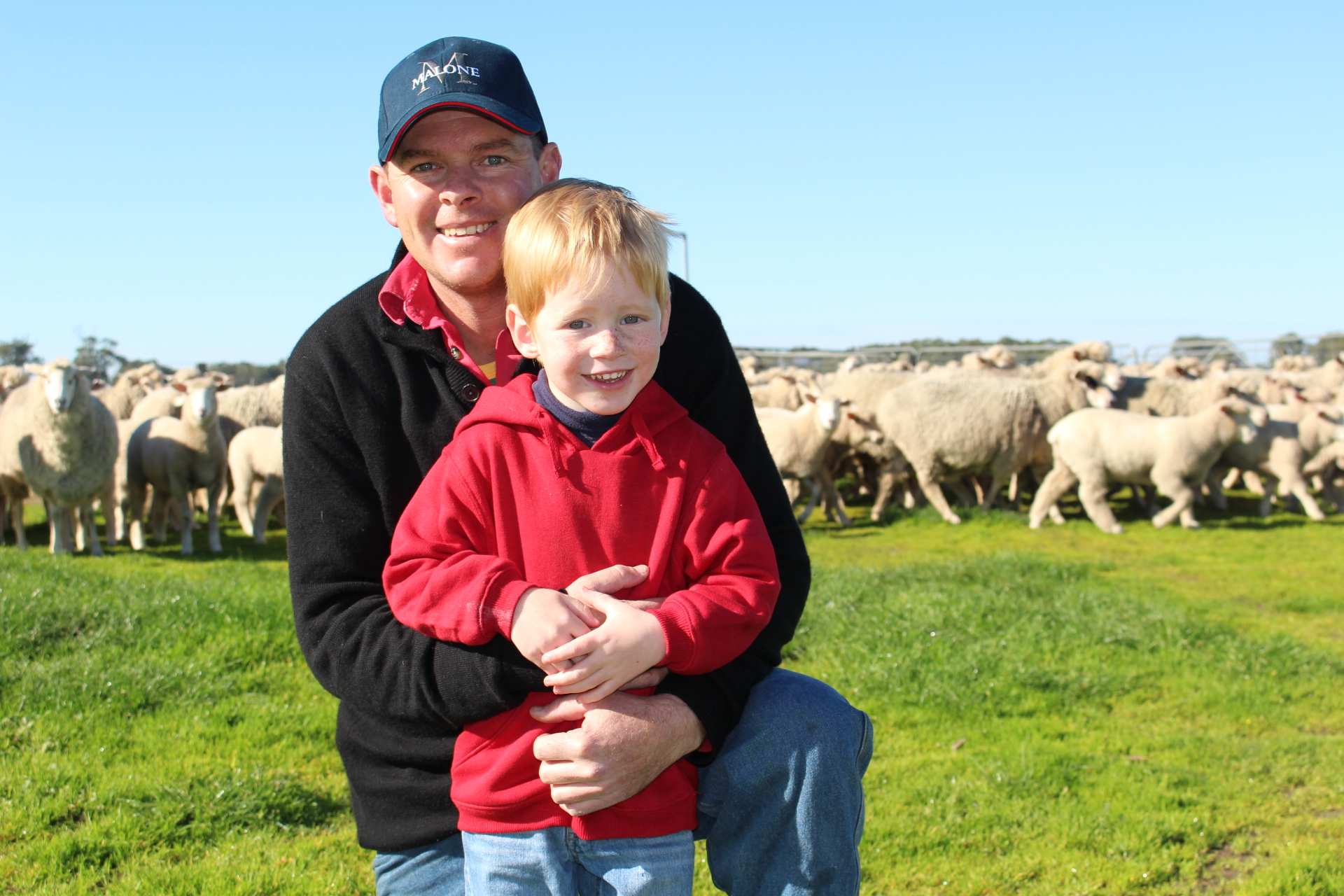 Branding lamb, farmers distinguish their produce from that on the open ...