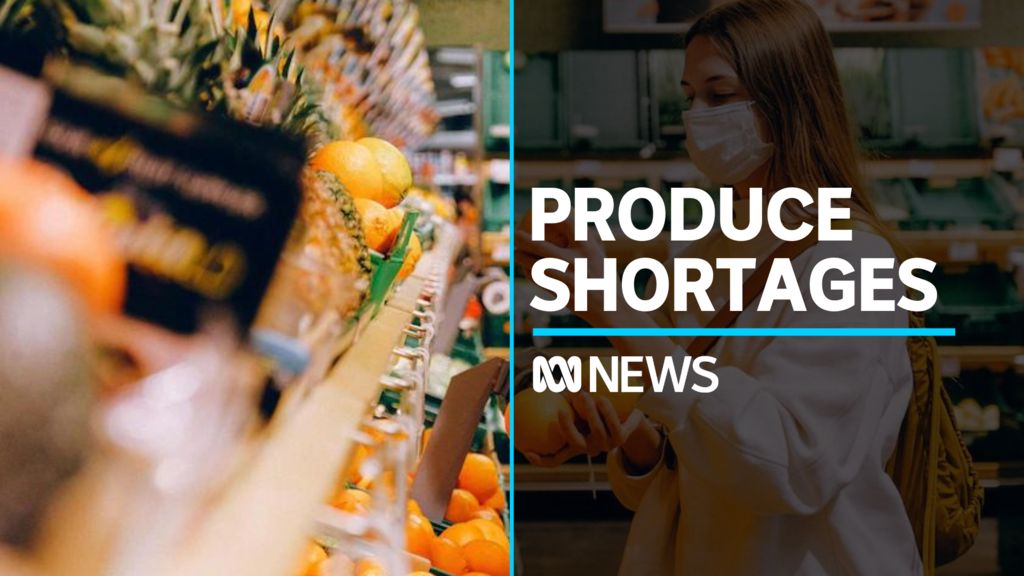 Why are supermarkets hit with fruit and vegetables shortages? - ABC News