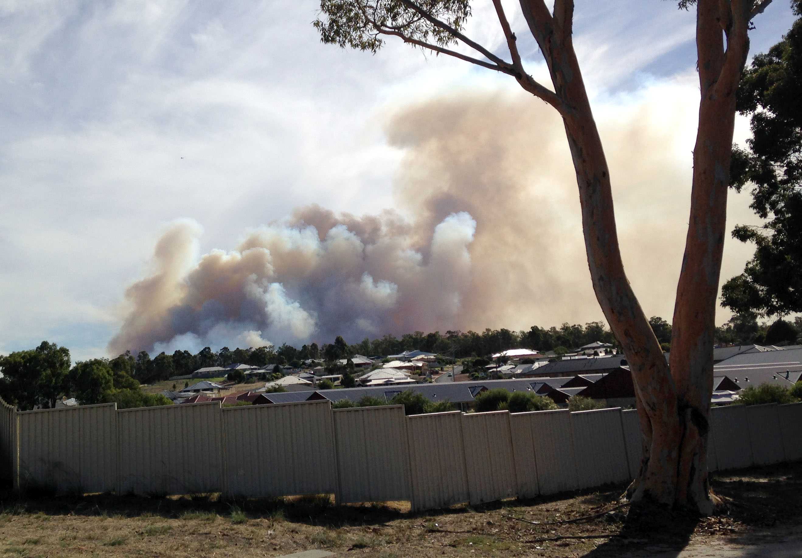 Warning downgraded for Collie bushfire in WA's South West - ABC News