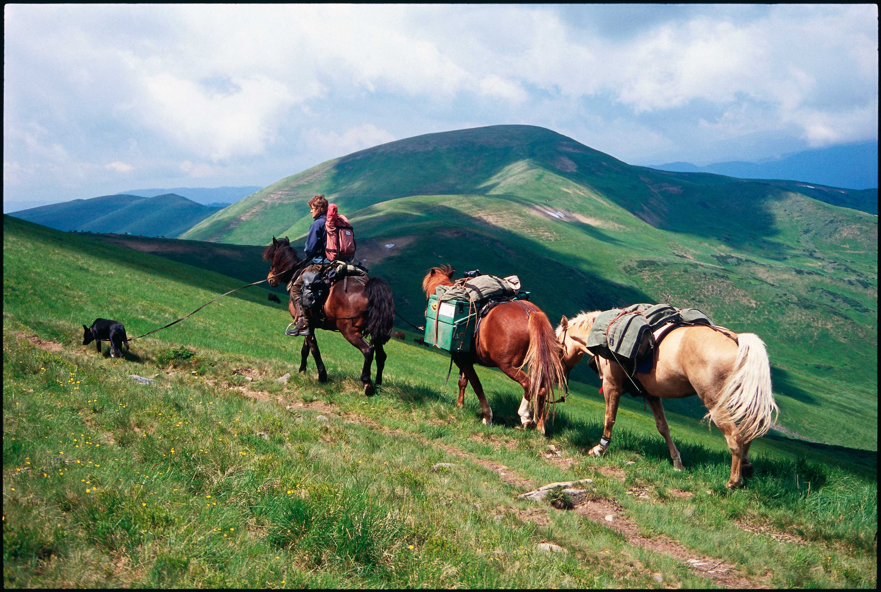 Tim Cope on the decline of nomadic life - ABC listen
