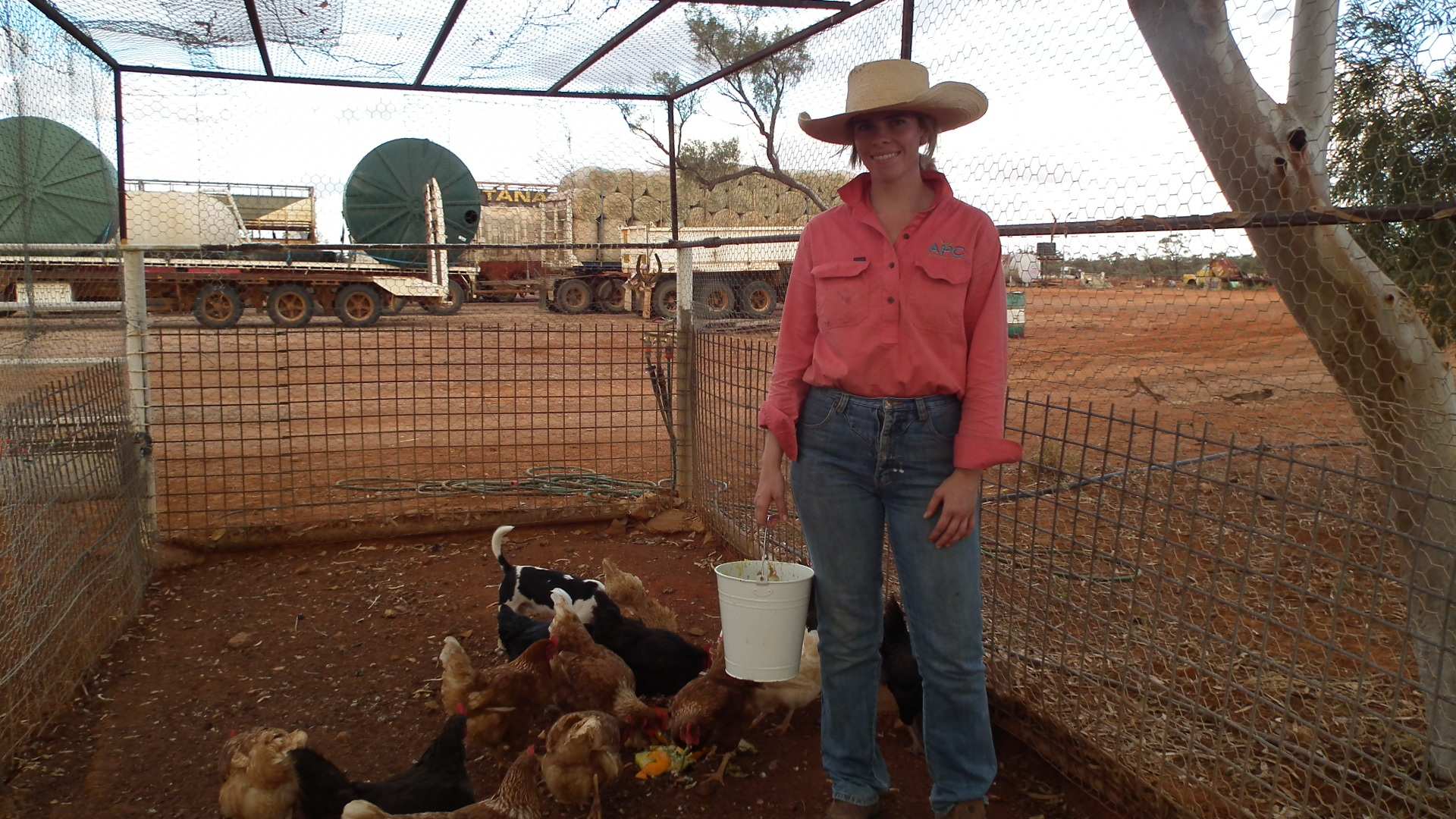 Outback cattle station cook bridges city-country divide one meal at a ...
