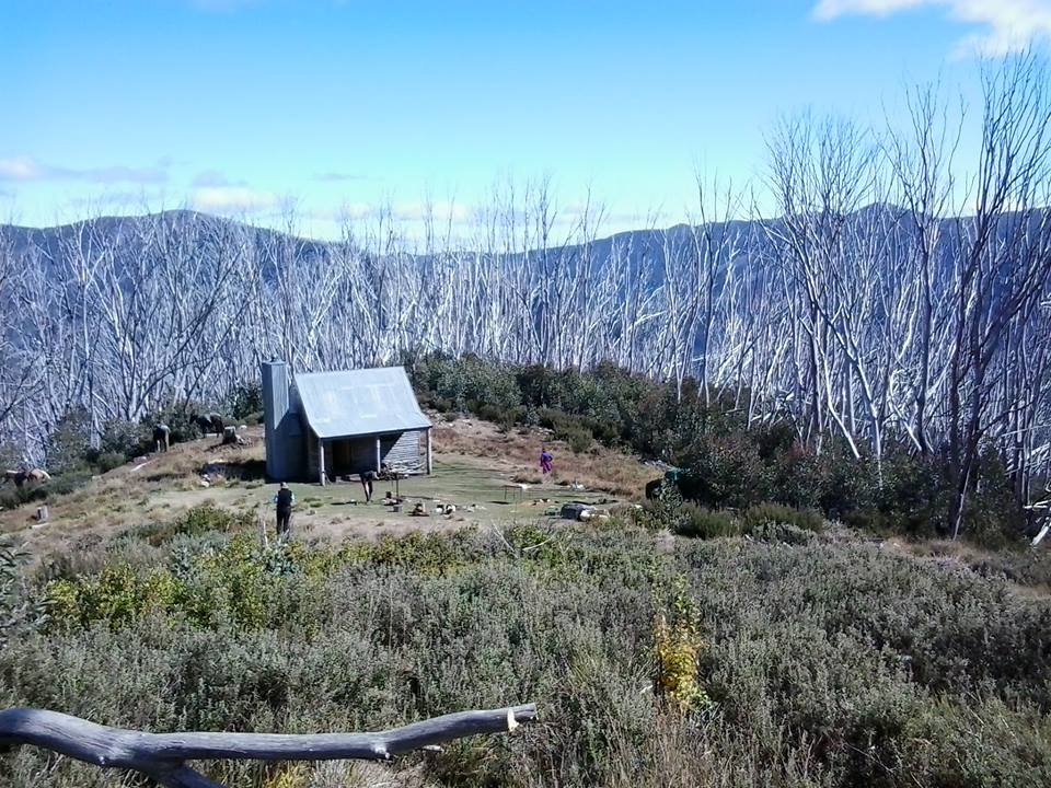 Big Fella is Watching - change on the Bogong High Plains - ABC listen