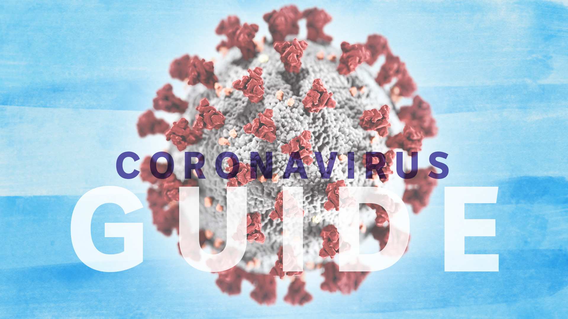 COVID-19: Everything you need to know! - Behind The News