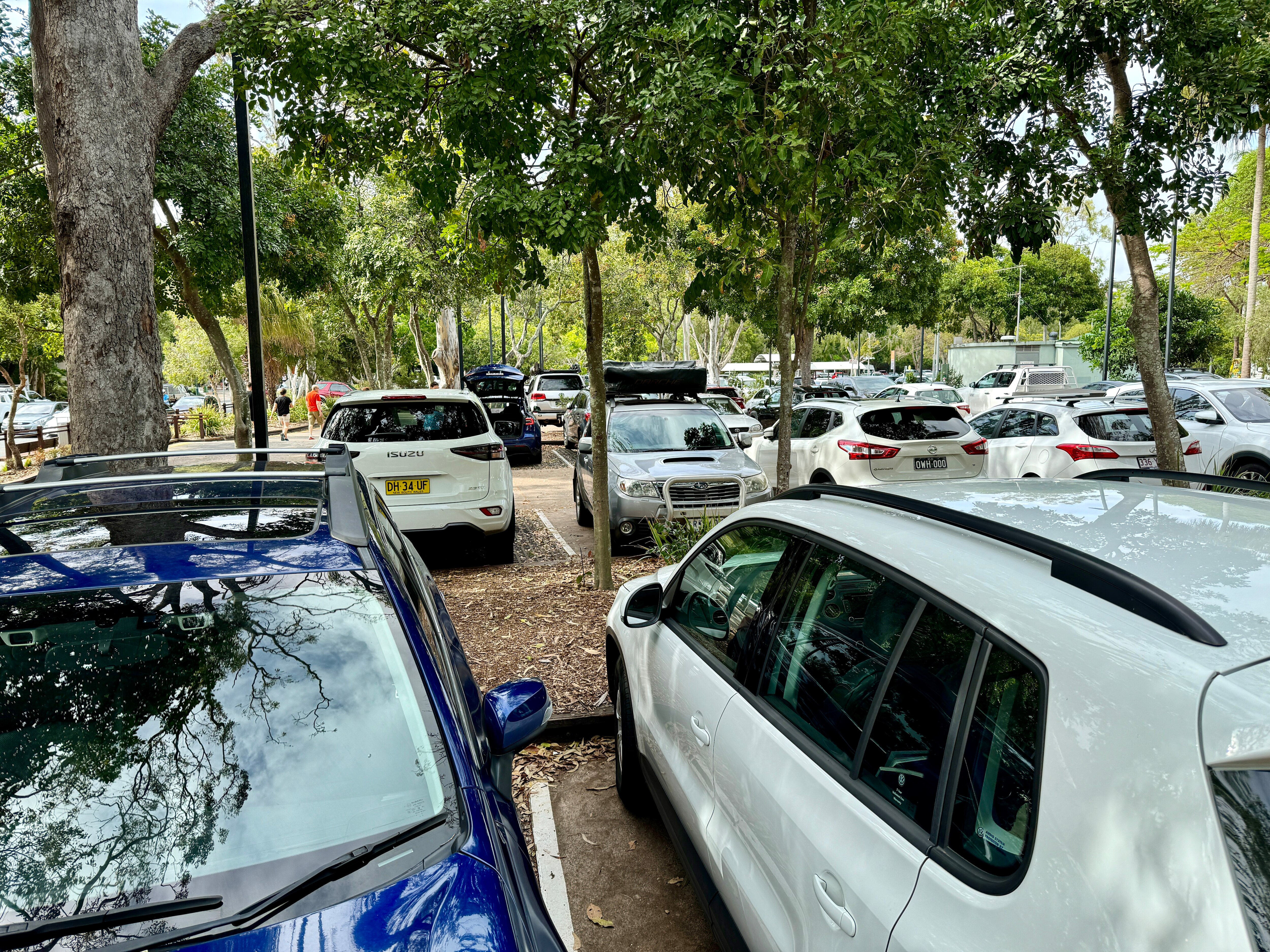 Stealing cars, hiding keys, cancelling insurance: UNSW study reveals ...