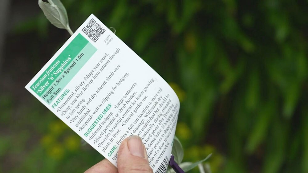 Choosing Plants - Gardening Australia