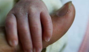 Mark Bahnisch - ABC News