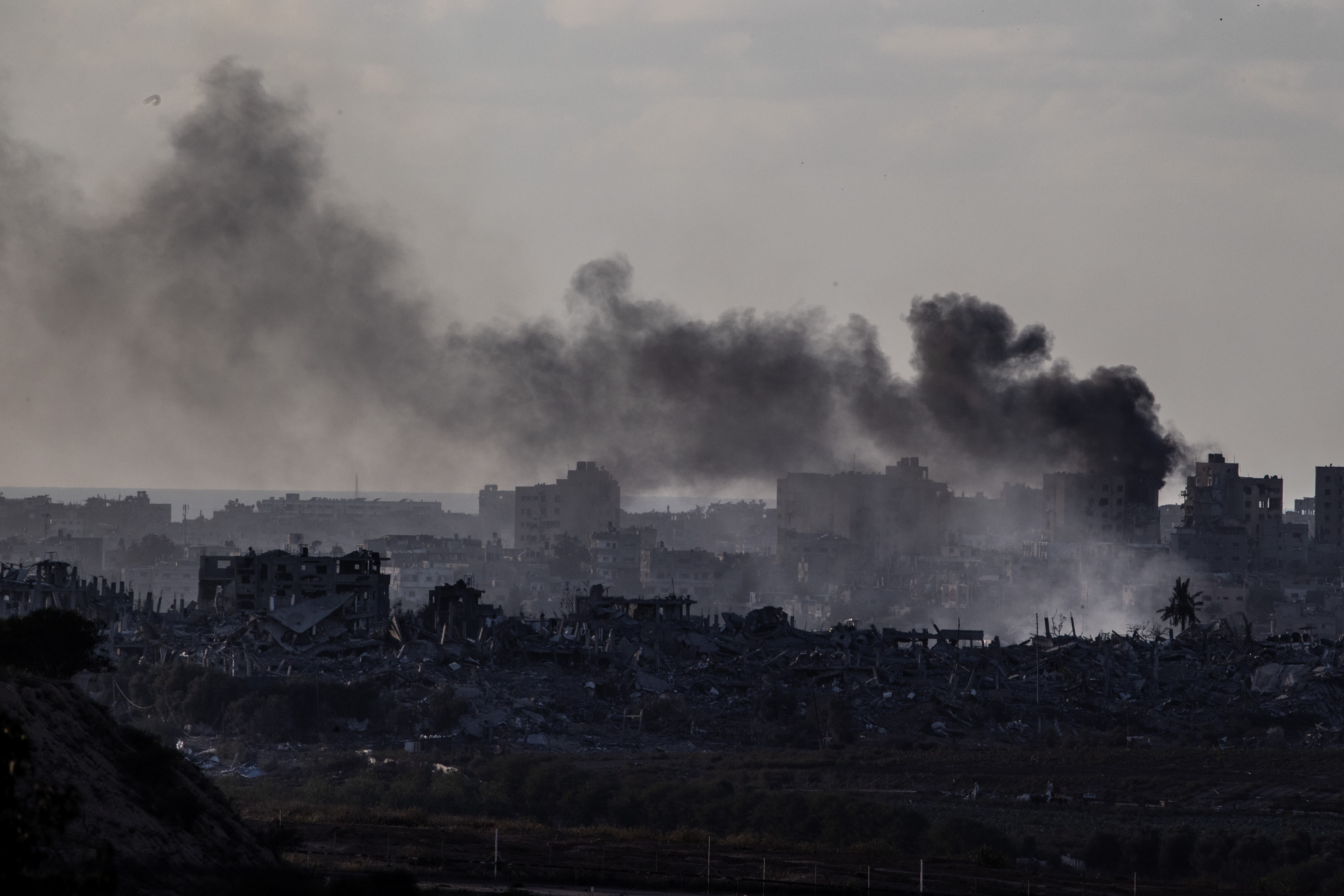 Centre-left European parties are conflicted over the Gaza war - ABC listen