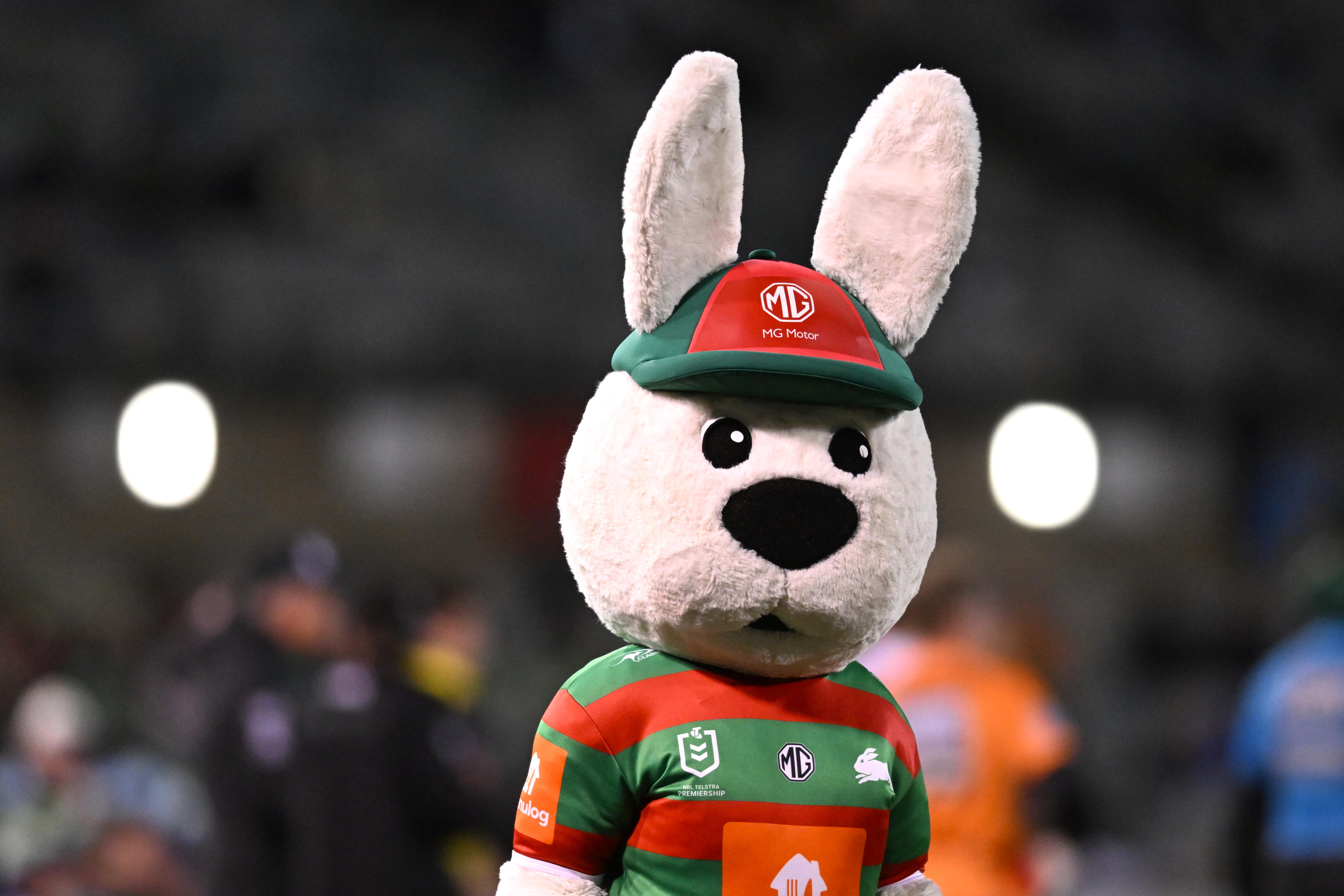 Anthony Albanese defends South Sydney Rabbitohs mascot amid storm over ...