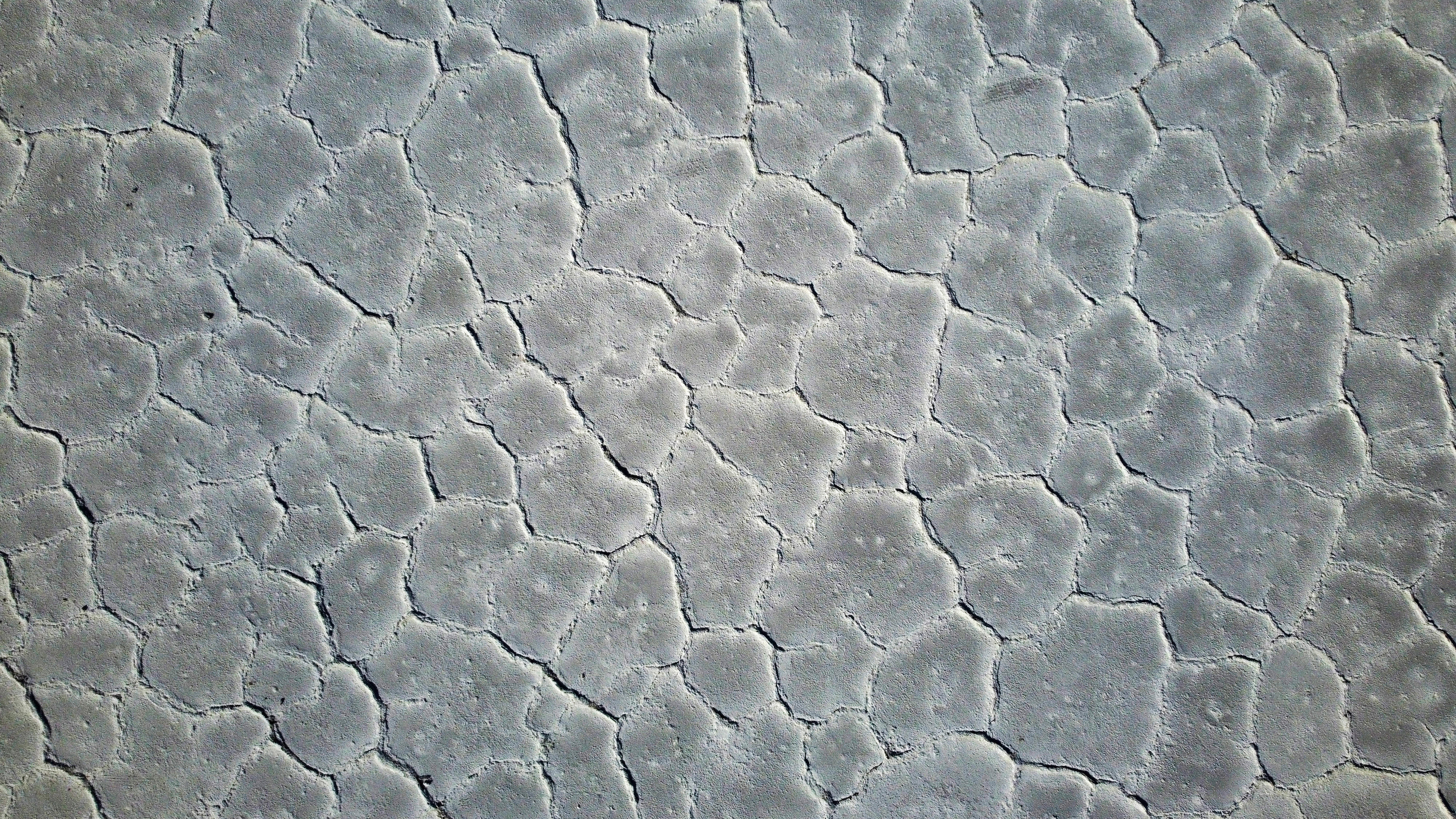 Changing environments and human activity are causing Utah's Bonneville ...