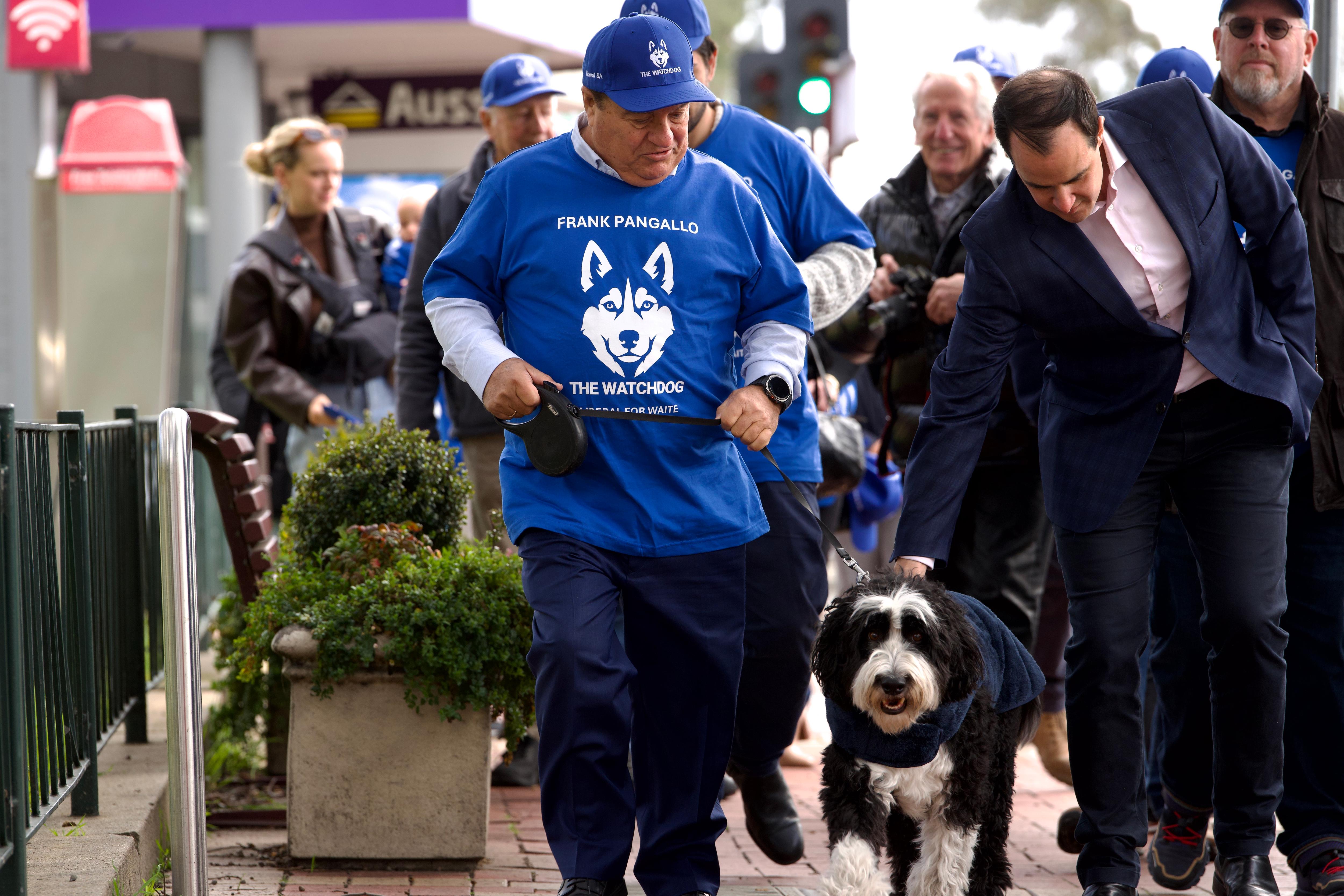 Independent MP and former journalist Frank Pangallo to run as Liberal ...