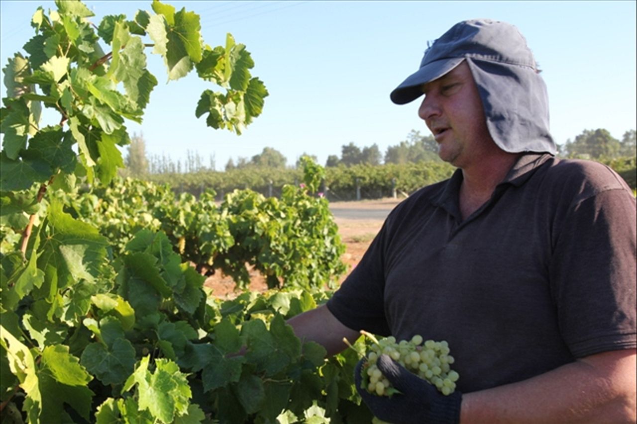 Lisa Kingsberry - ABC News