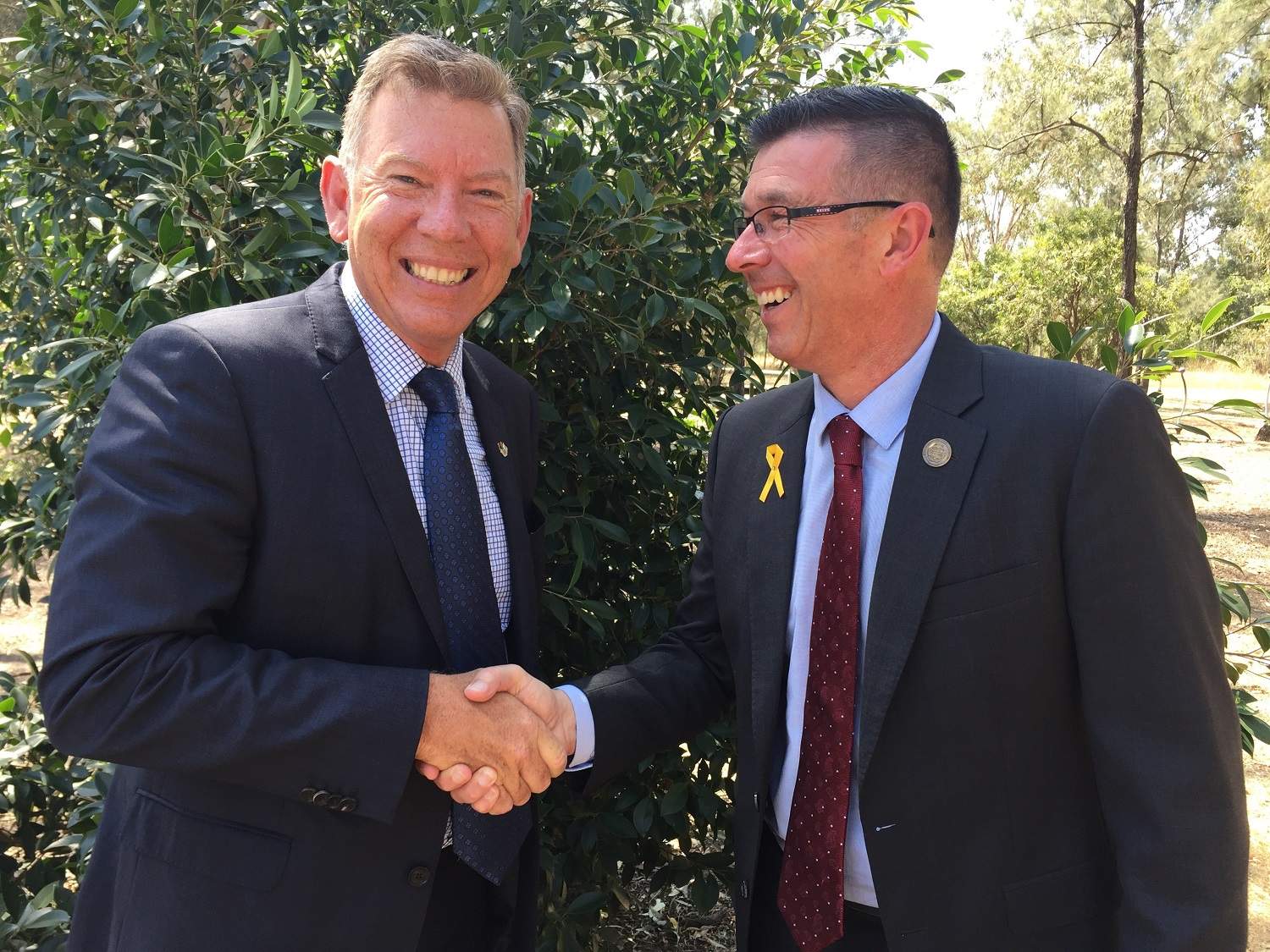 Ipswich City Council: New deputy mayor and tougher conflict of interest ...