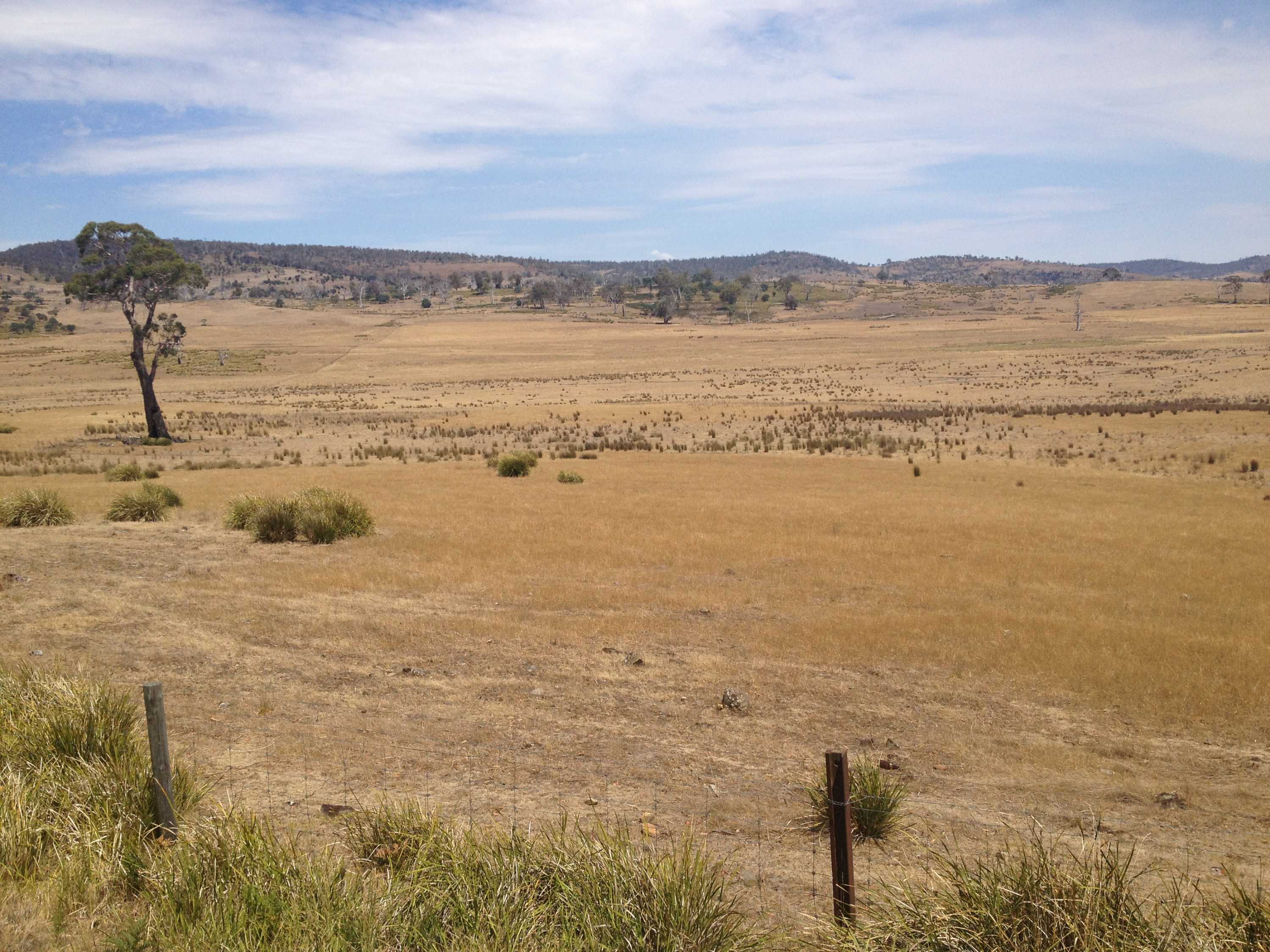 More crisis support for Tasmanian farmers coping with drought ...