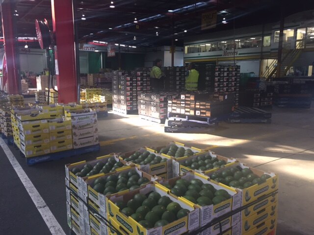 An interesting year for those in Western Australia's fresh produce ...