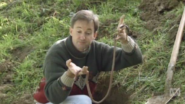 Earthworm life cycle - ABC Education