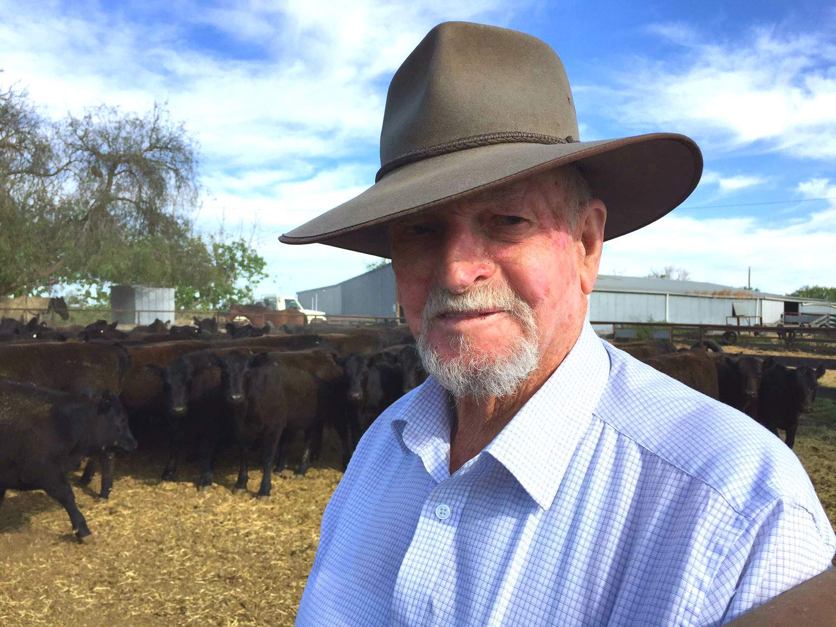 Young boss takes the helm of farming empire after family tragedy - ABC News