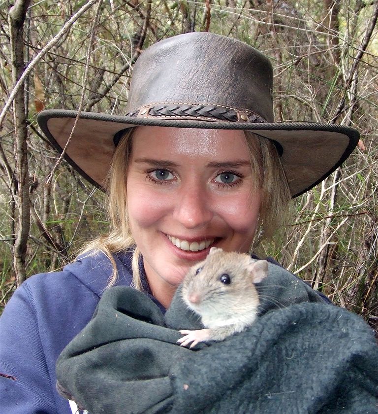 Native rats to drive invaders out of Sydney - ABC listen