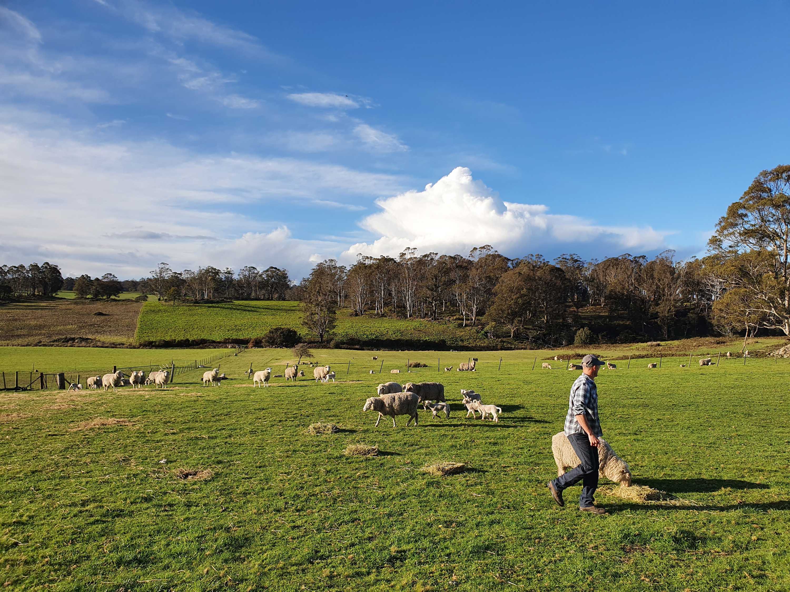 Chris Rowbottom - ABC News