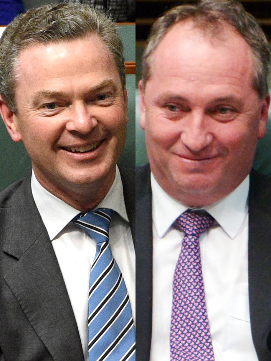 Christopher Pyne throws support behind Barnaby Joyce as next leader of ...