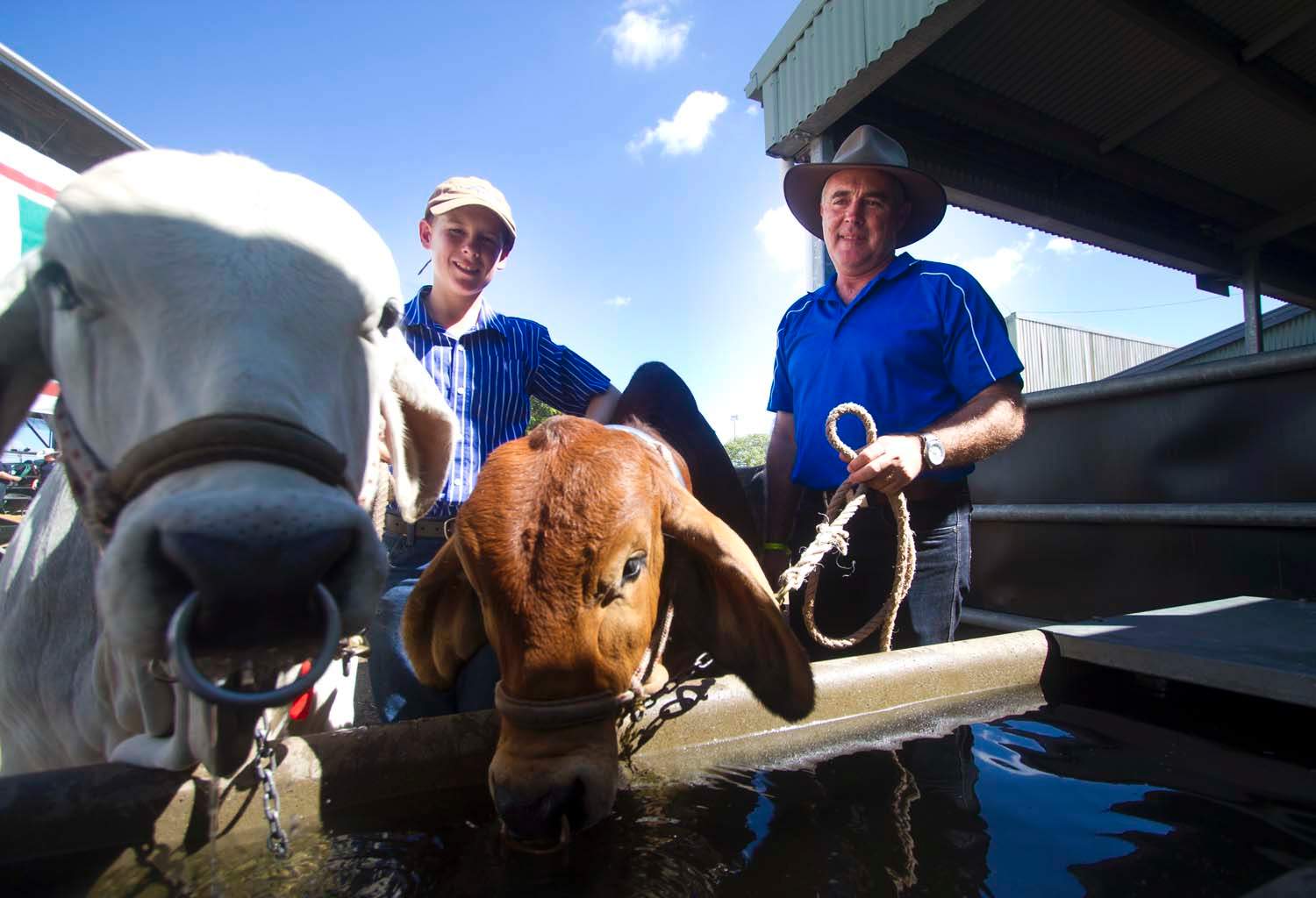 In pictures: The faces of Beef Australia 2015 - ABC News
