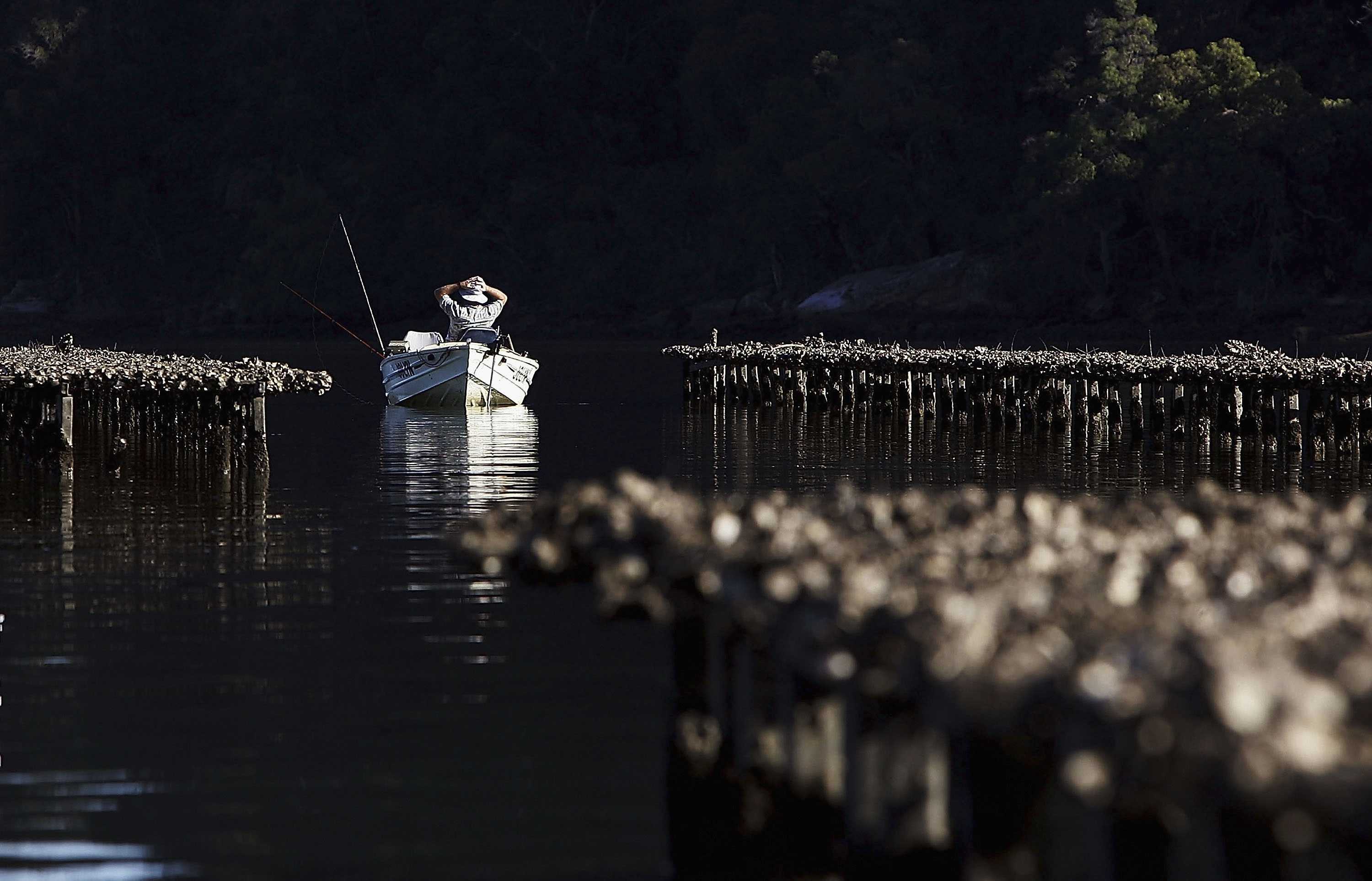 Dad's Navy: the untold story of the Merchant Navy in WW2 - ABC listen