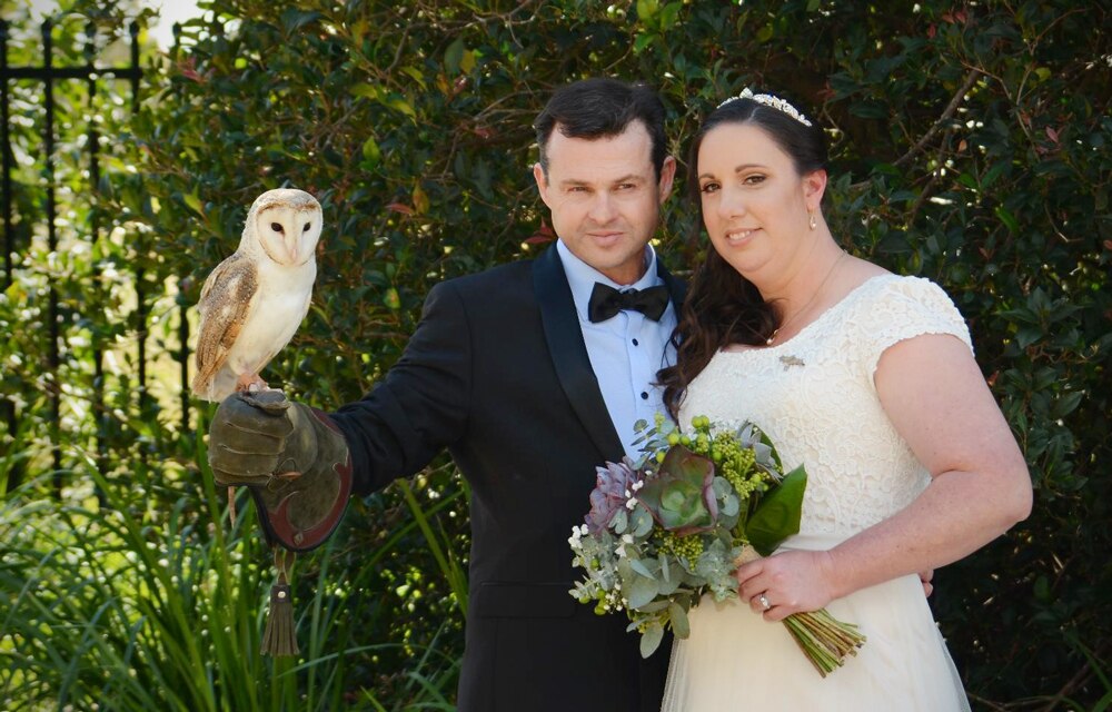 Socrates the barn owl pulls off flawless flight to deliver wedding ...