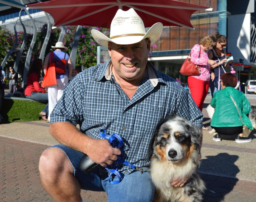 Million Paws Walk: Dog owners gather across the country for annual ...
