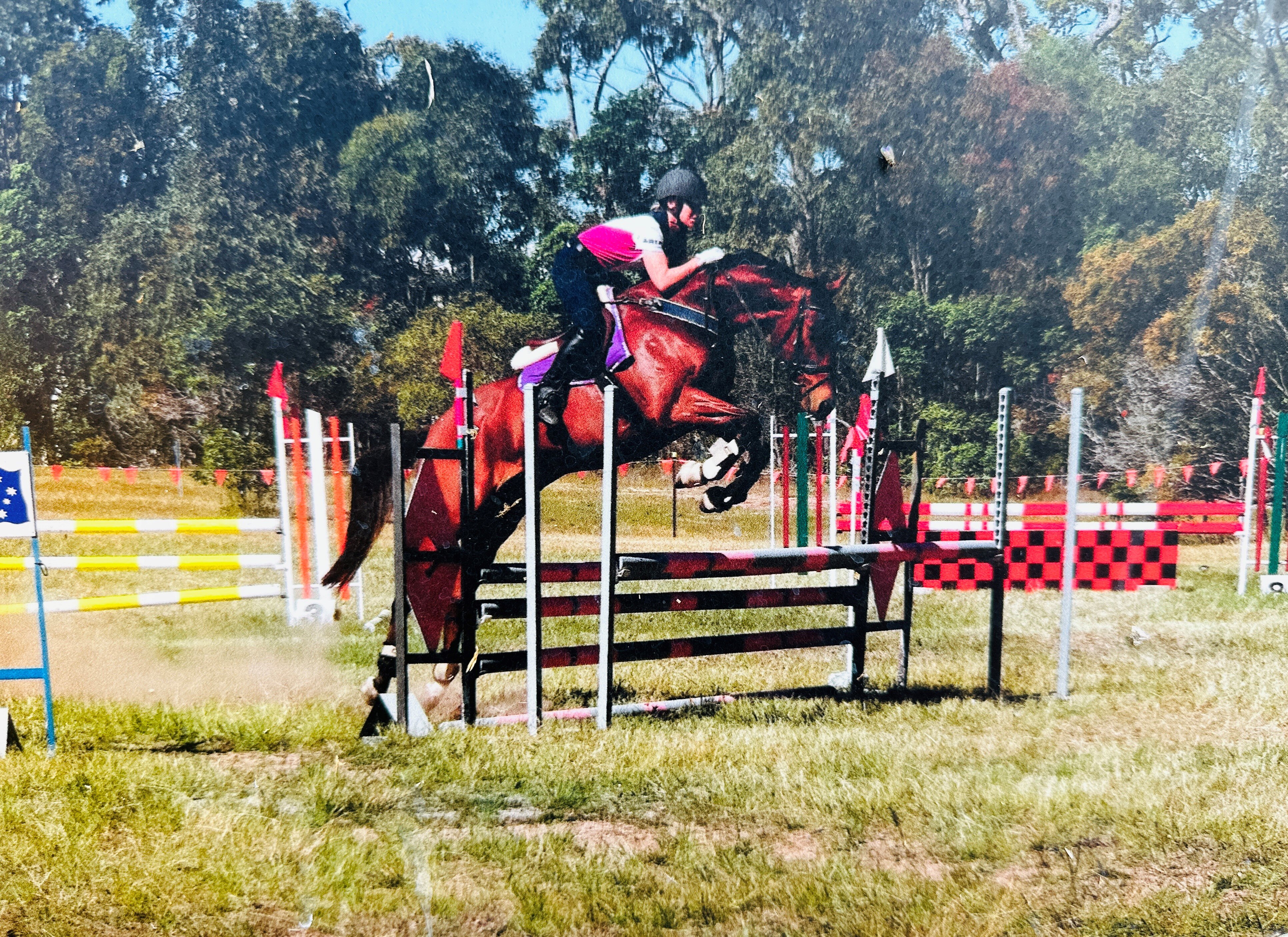 Racing world remembers jockey Carly-Mae Pye on 10th anniversary of her ...