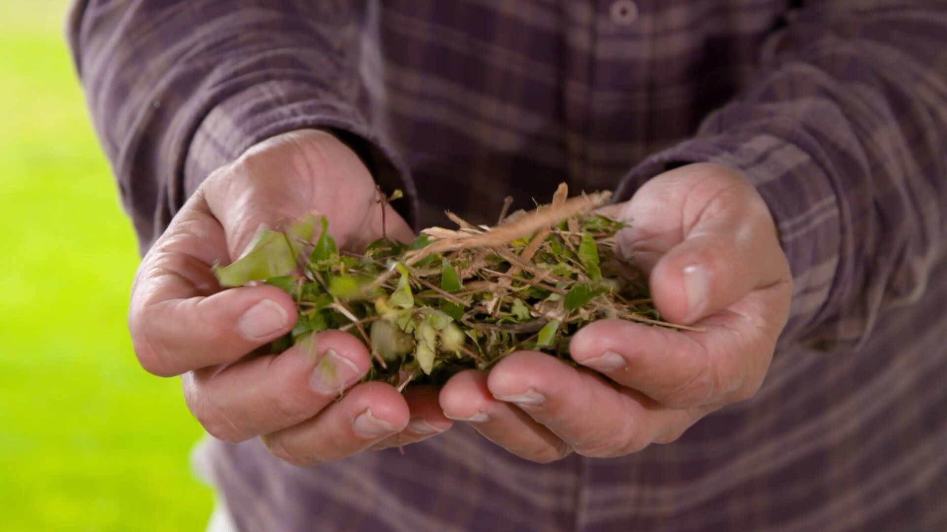 How to choose the right mulch for your garden - ABC News