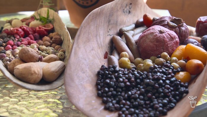 Bush Tucker Pot - Gardening Australia