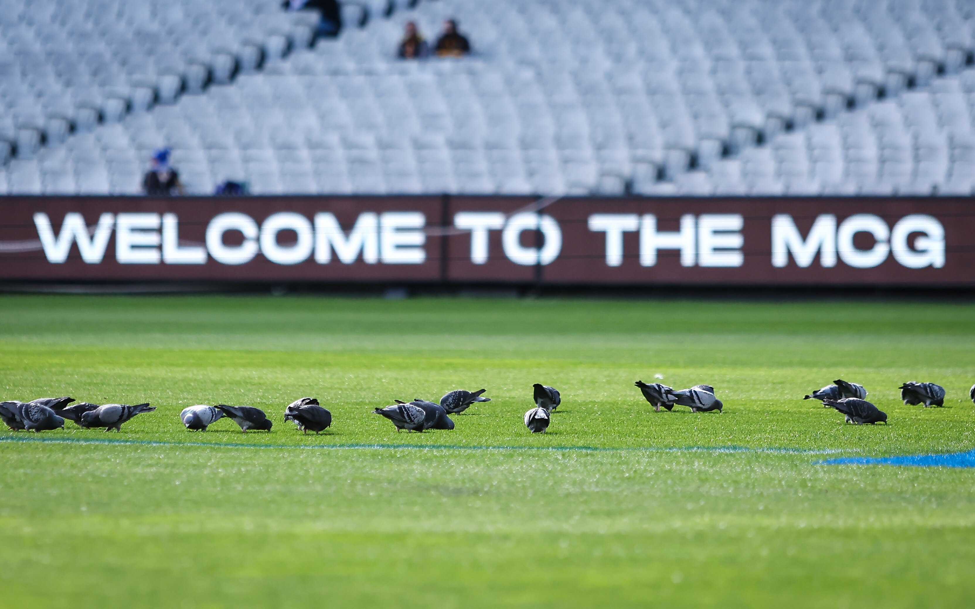 Brisbane Lions have a terrible losing streak at the MCG, but it's not ...
