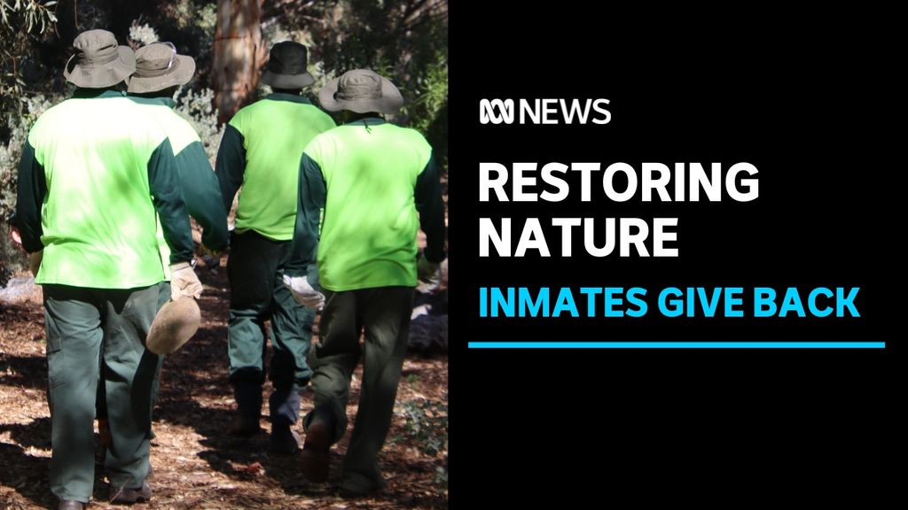 Broken Hill inmates restore Imperial Lakes environment - ABC News