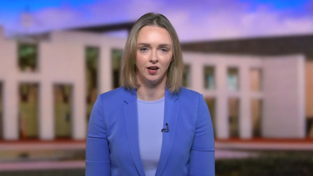 Prime Minister highlights need for respectful political debate - ABC News