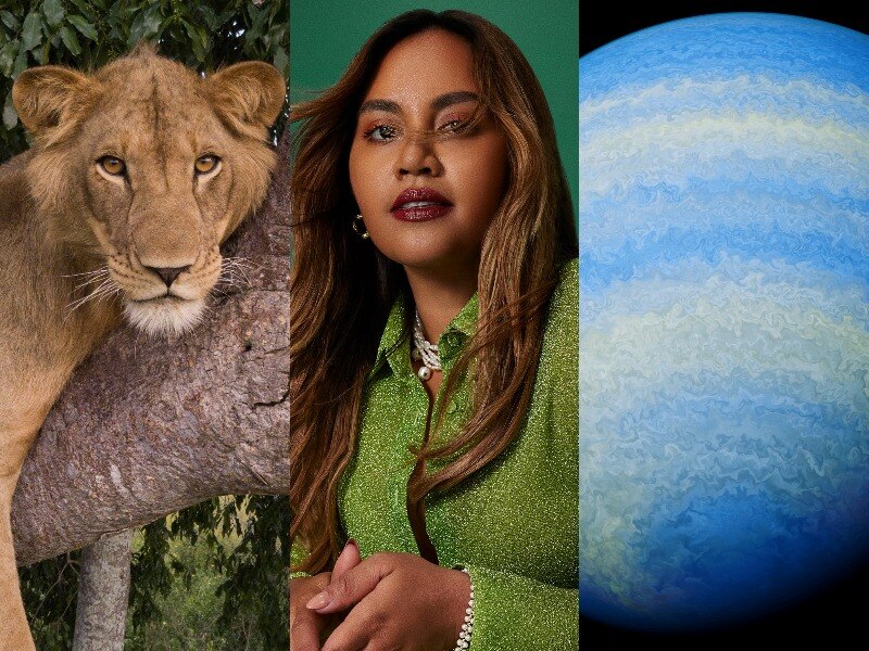 Weekly news quiz: Record-breaking lions, Australia's Olympic track and ...